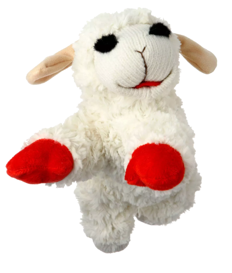 Multipet Lamb Chop Dog Toy – Boston Barkery – Dog Bakery – Dog Birthday ...