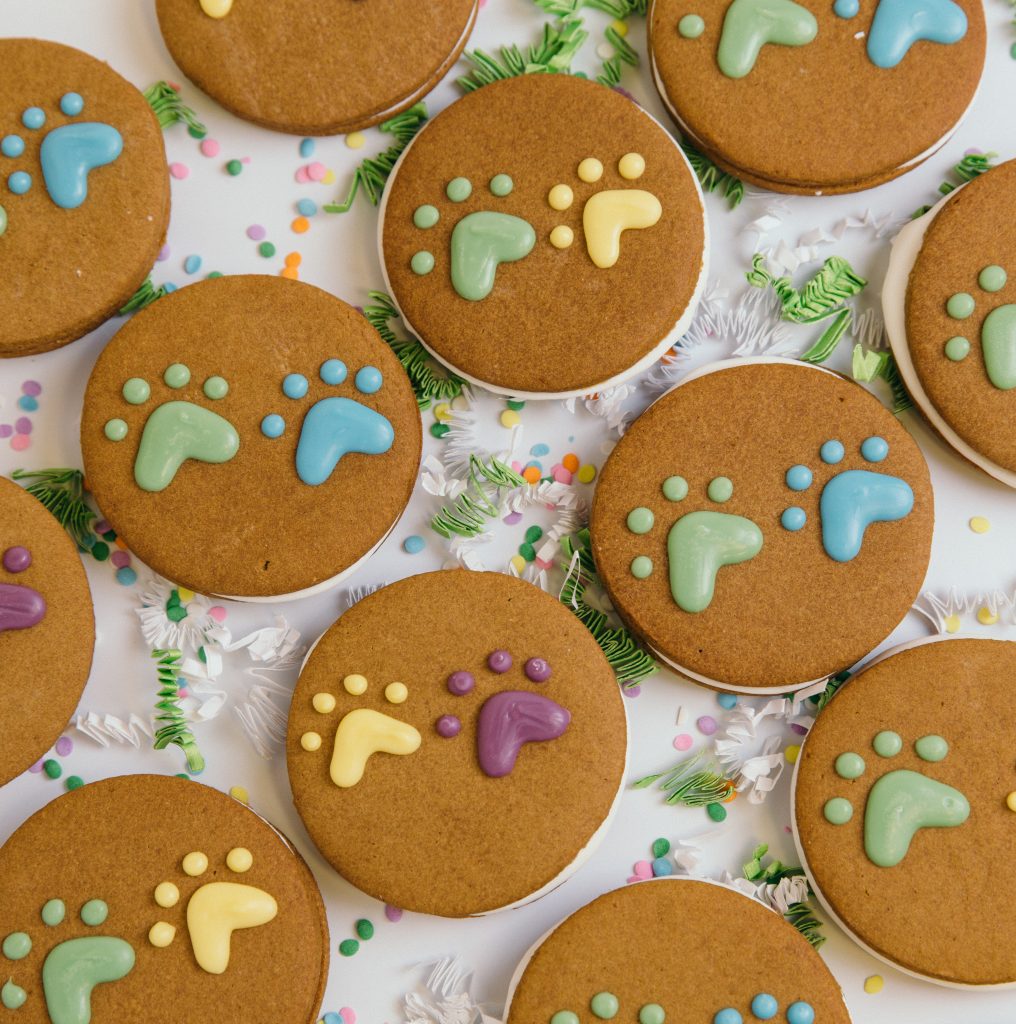 Boston Barkery – Dog Bakery – Dog Birthday Cakes, Dog Bakery in Boston ...